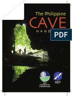 DENR Organizational Chart | PDF | Business | Government