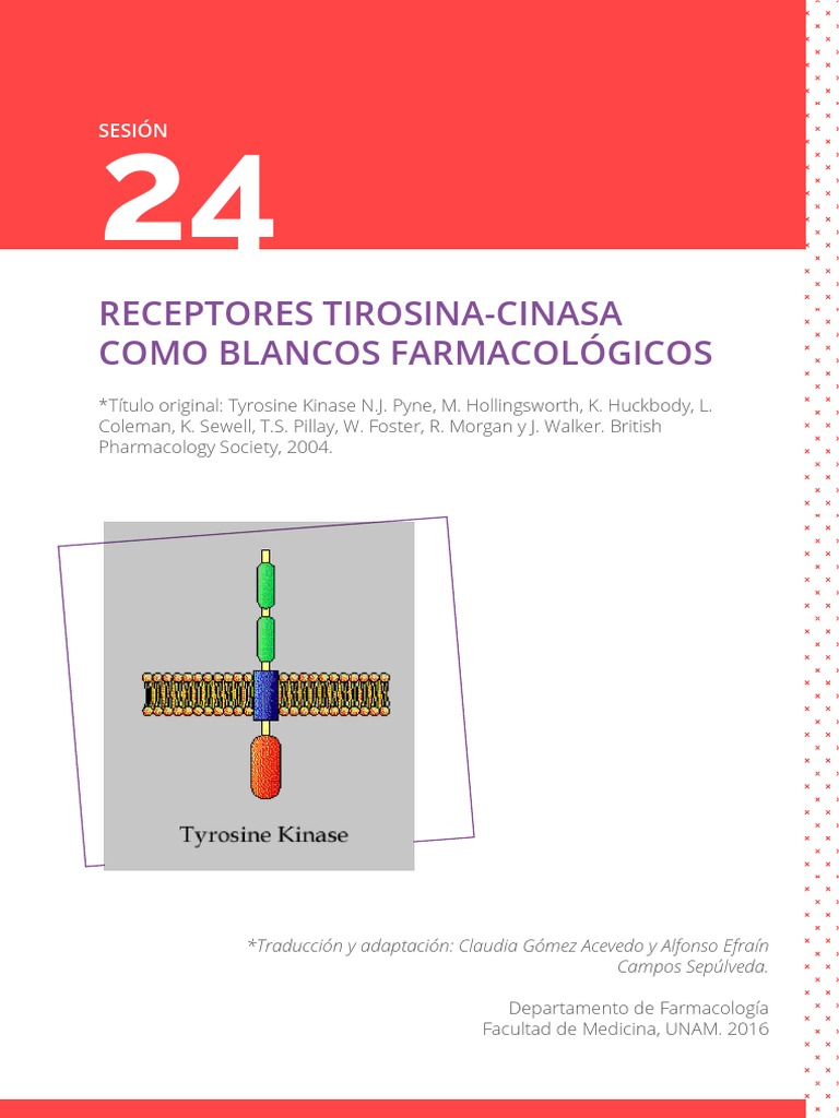 Receptores Tirosina-Cinasa y Farmacología | PDF | Proteína quinasa ...