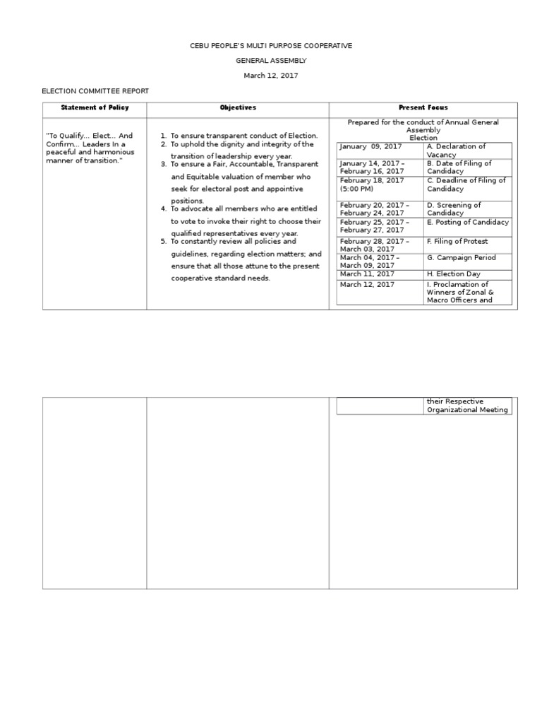Statement of Policy Objectives Present Focus | PDF | Elections | Government