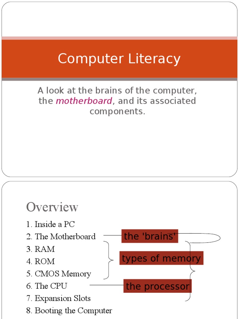 Computer Literacy: A Look at The Brains of The Computer, The, and Its Associated Components ...