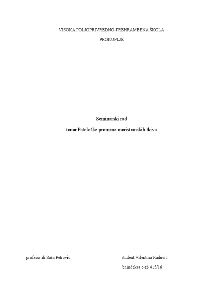 Seminarski Rad | PDF