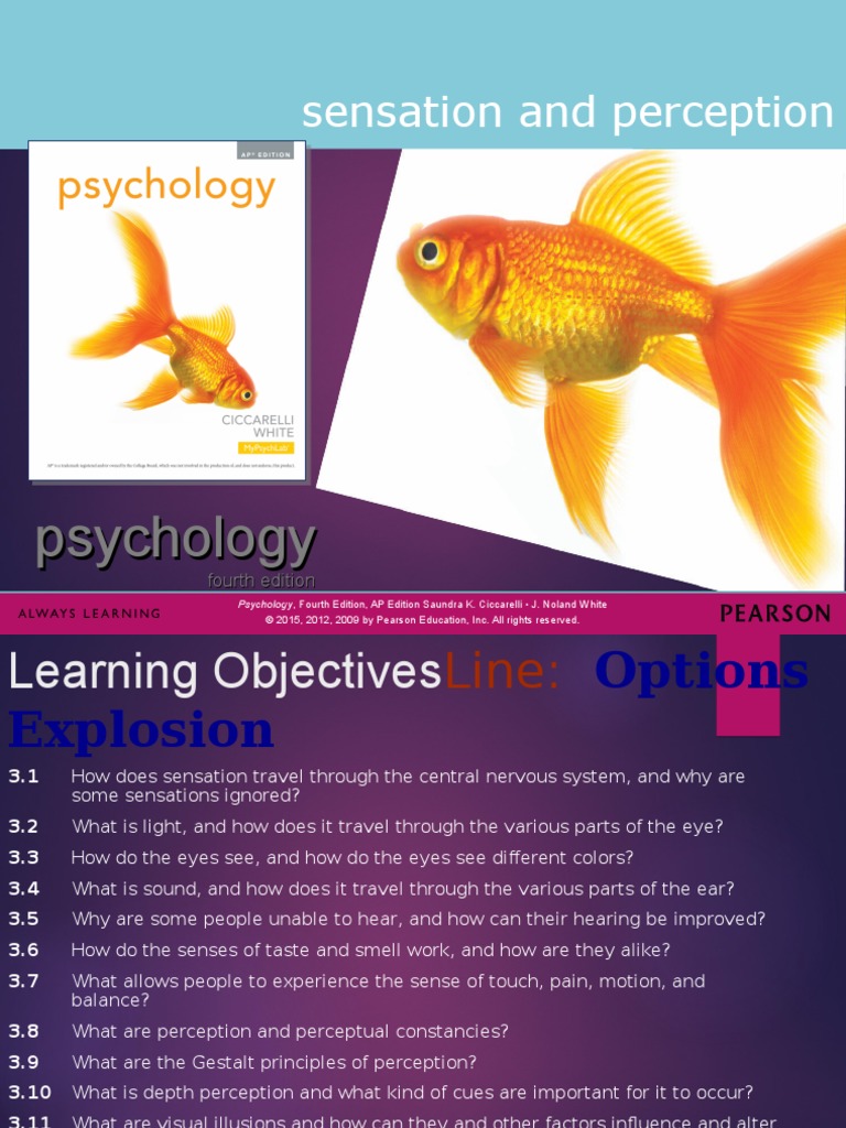 Unit 4 - Sensation and Perception Lecture Notes | PDF | Taste | Olfaction