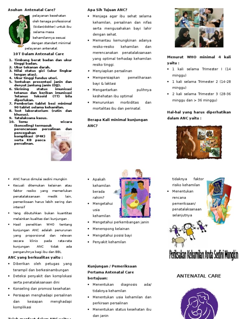 Leaflet ANC | PDF | Kesehatan Holistik