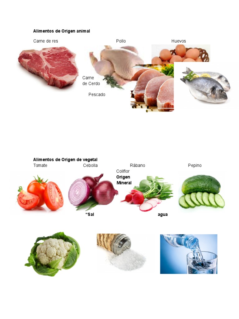 Alimentos de Origen Animal | PDF