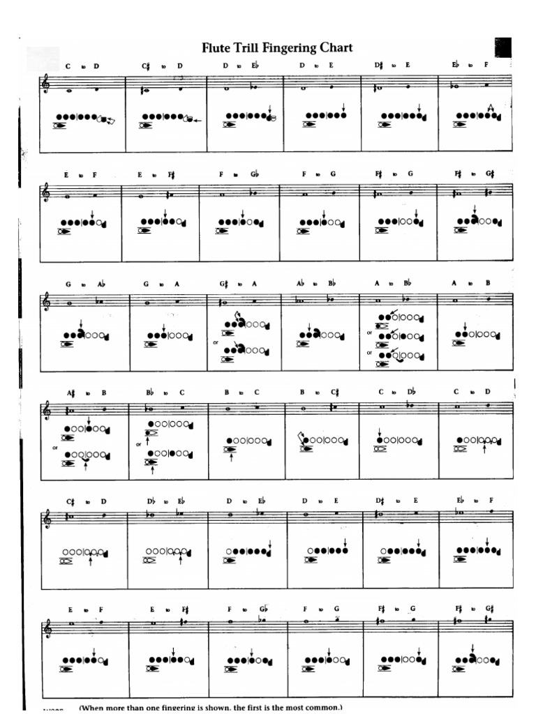 Flute Trill Fingerings 3 0 | PDF