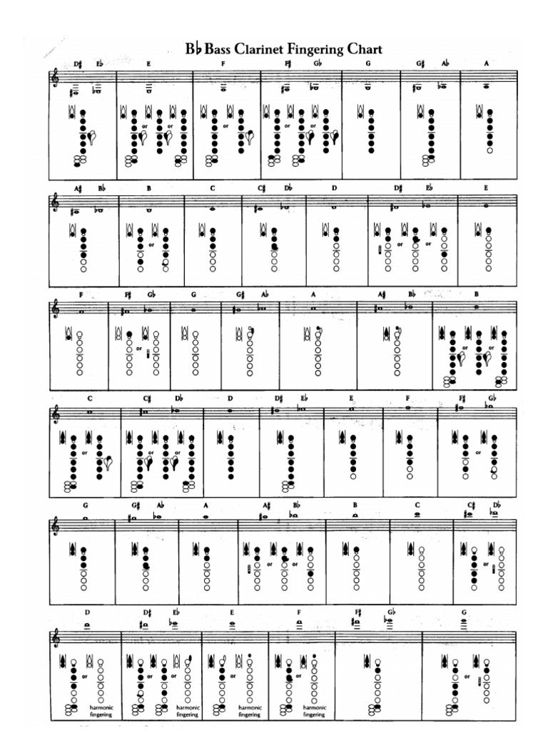 Bass Clarinet Fingerings 3 0 | PDF | Woodwind Instruments | Musical ...