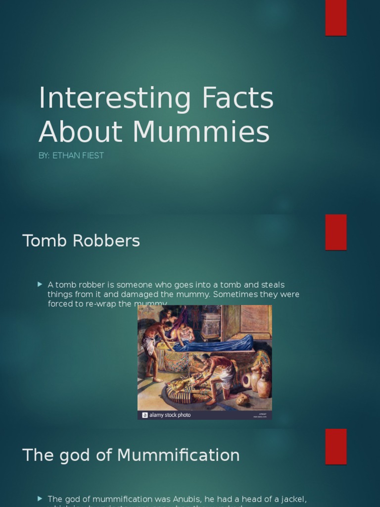 Interesting Facts About Mummies | PDF
