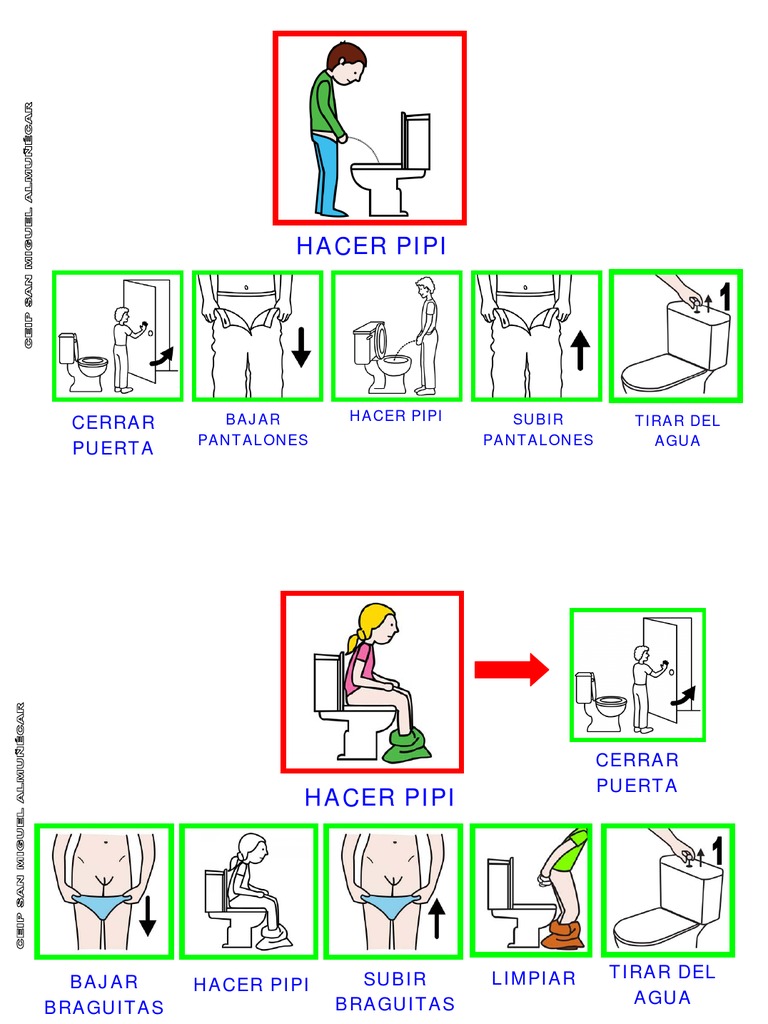 Hacer Caca, Hacer Pipi | PDF