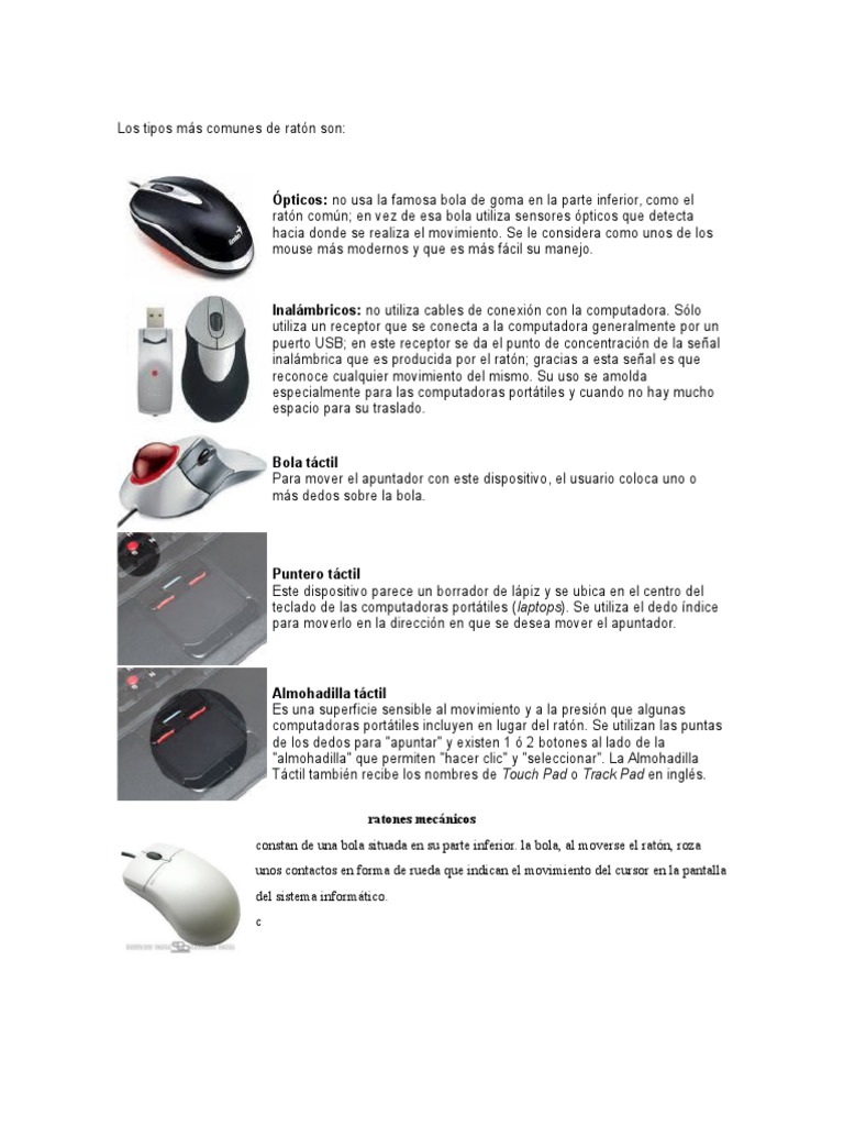 Los Tipos Más Comunes de Ratón Son | PDF | Pantalla táctil | Tecnología ...