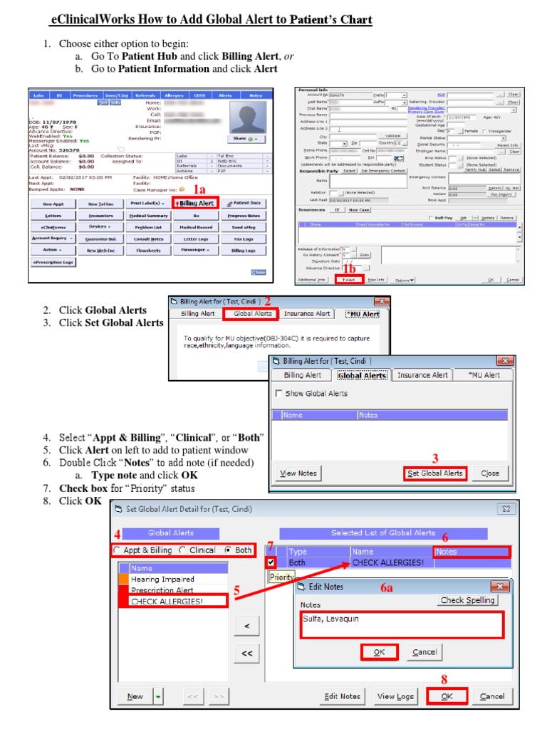 EClinicalWorks How To Add Global Alert To Patient's Chart | PDF