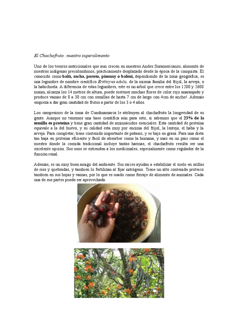 El Basul | PDF | Fibra dietética | Dieta y nutrición