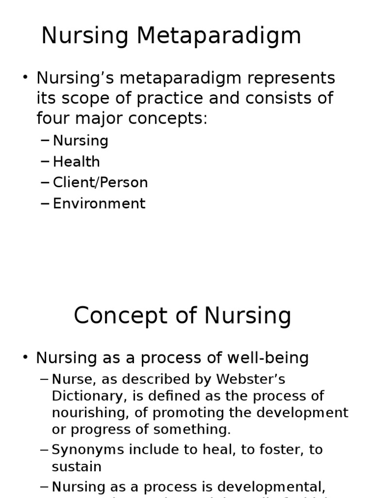 Module2 Day2 Metaparadigm | PDF