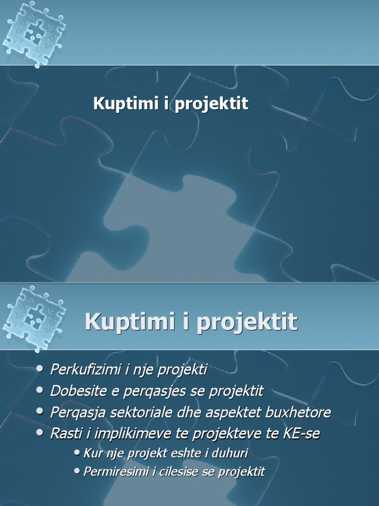 Kuptimi I Projektit | PDF