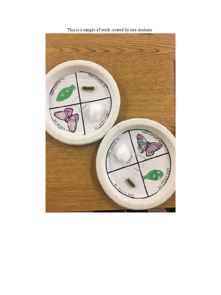 This Is A Sample of Work Created by Two Students | PDF