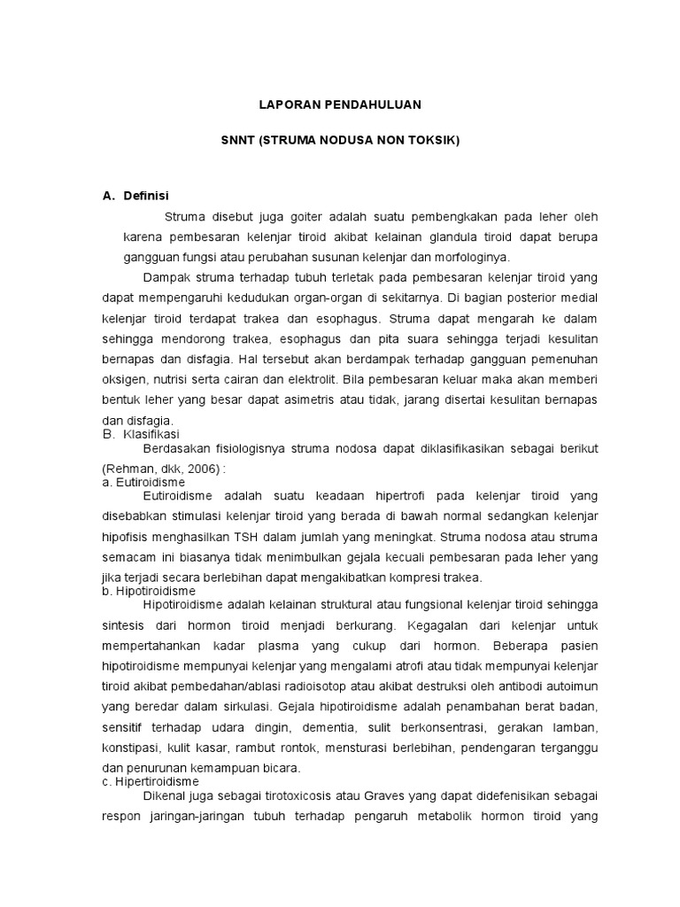 Laporan Pendahuluan SNNT | PDF