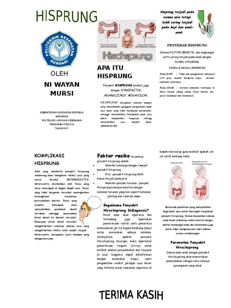 Apa Itu Hisprung | PDF