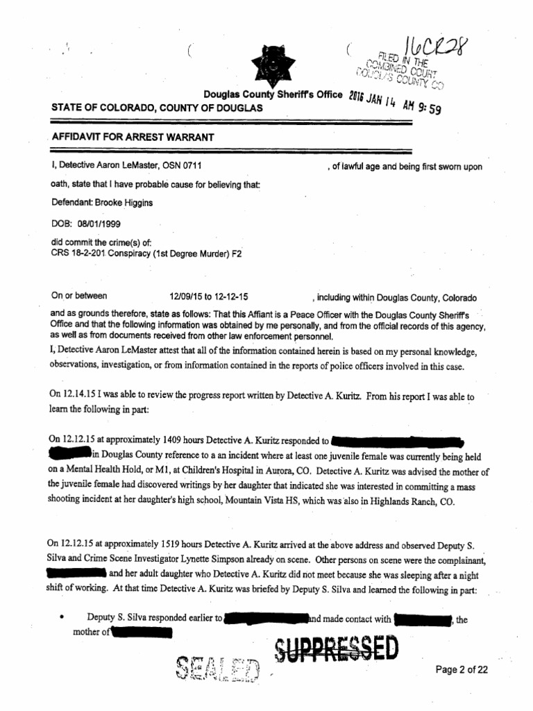 Brooke Higgins Affidavit | PDF