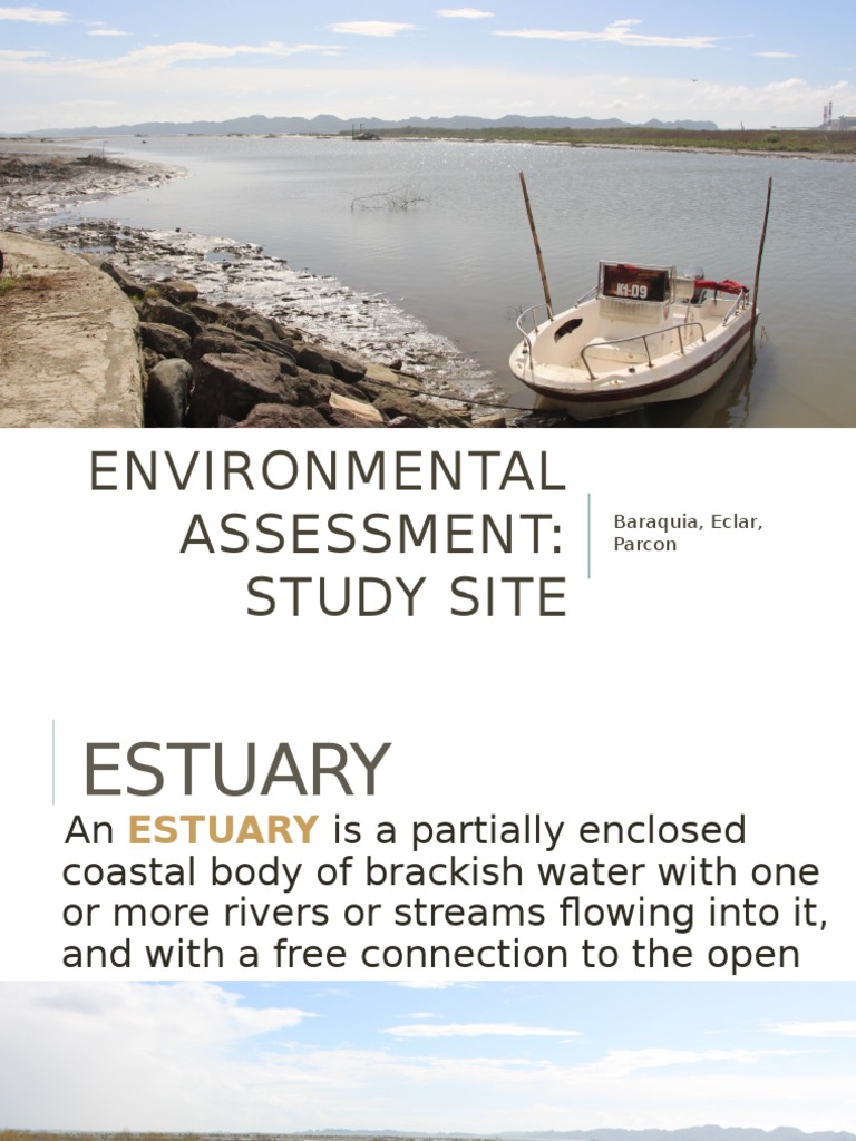 Environmental Assessment: Study Site: Baraquia, Eclar, Parcon | PDF ...