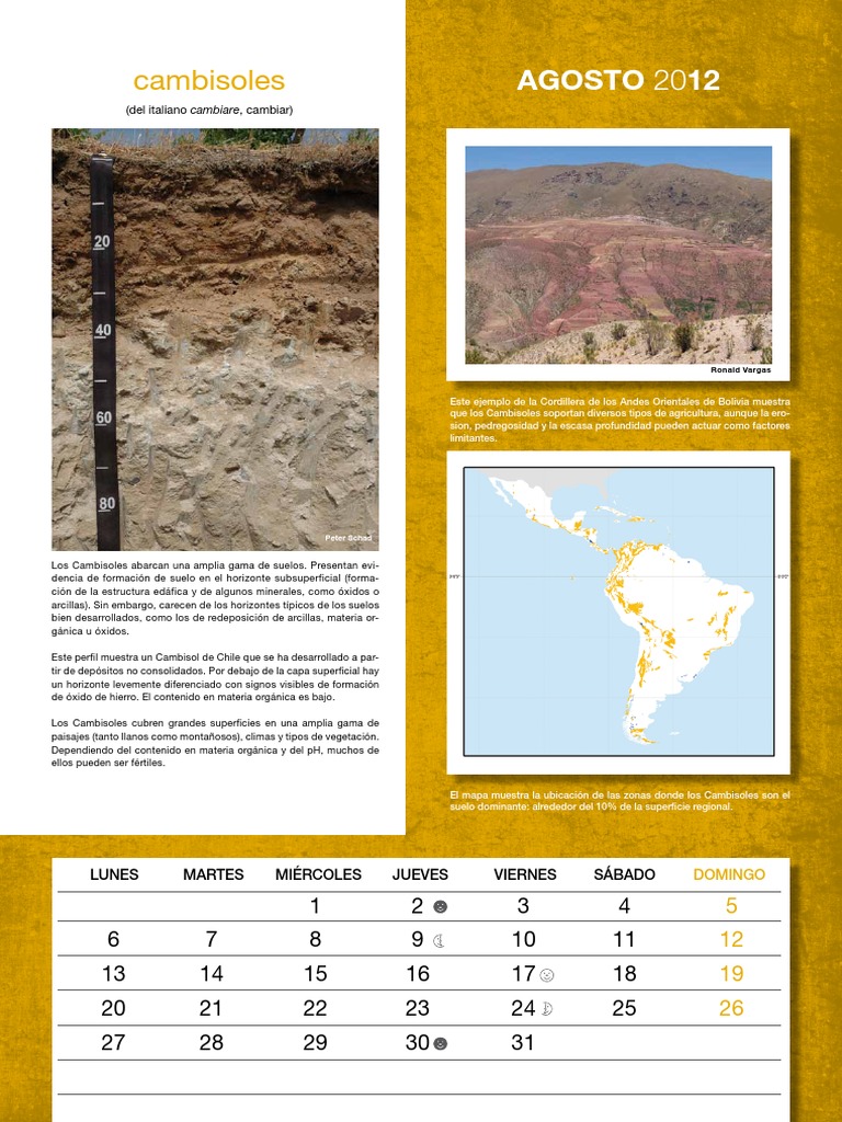 Características de los Suelos Cambisoles | PDF | Suelo | Ciencias de la ...