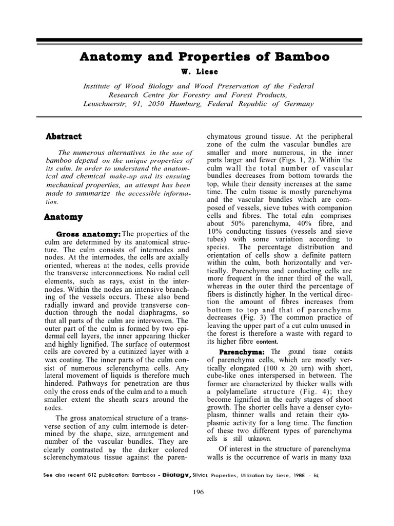 Anatomy And Properties Of Bamboo Pdf Tissue Biology Lignin