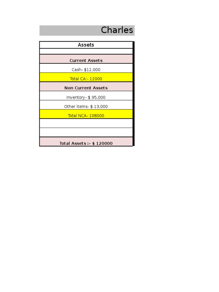 Charles Company: Assets | PDF | Expense | Equity (Finance)