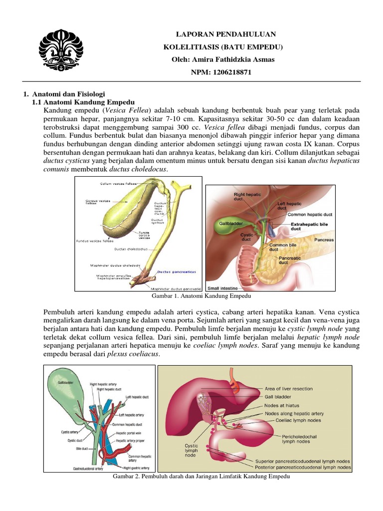 LP Kolelitiasis | PDF