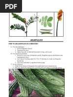 Lubby Santa | PDF | Horticulture And Gardening | Plants