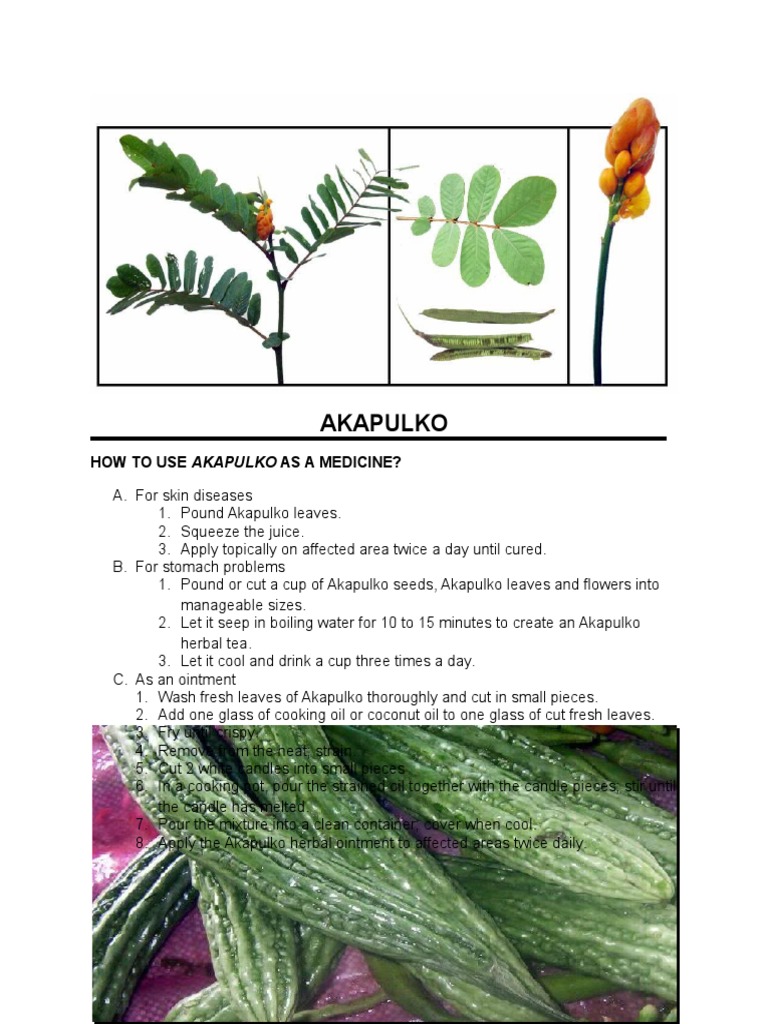 AKAPULKO | PDF | Herbalism | Tea