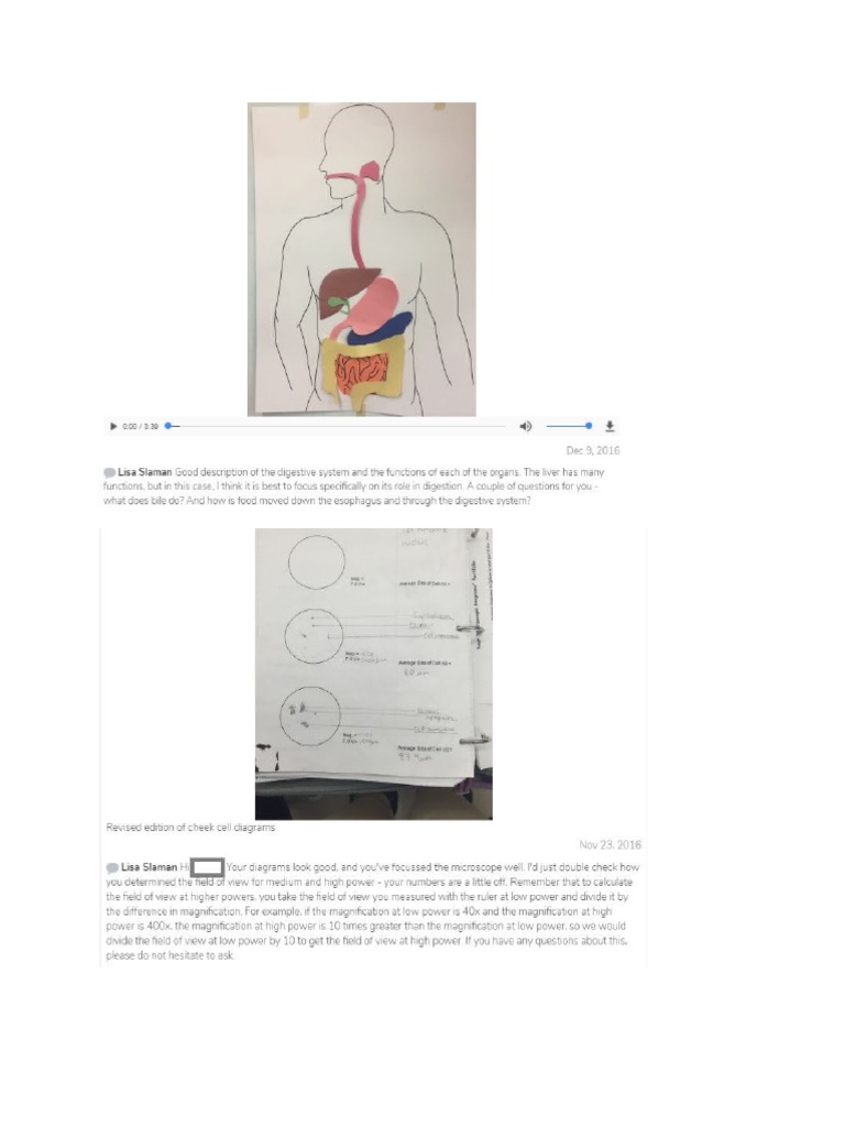 Examples of Descriptive Feedback | PDF