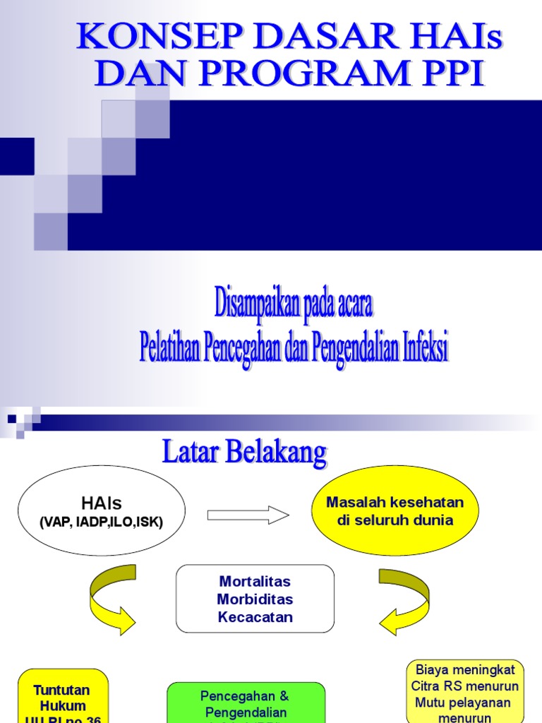 Konsep Dasar Hais Dan Program Ppi | PDF