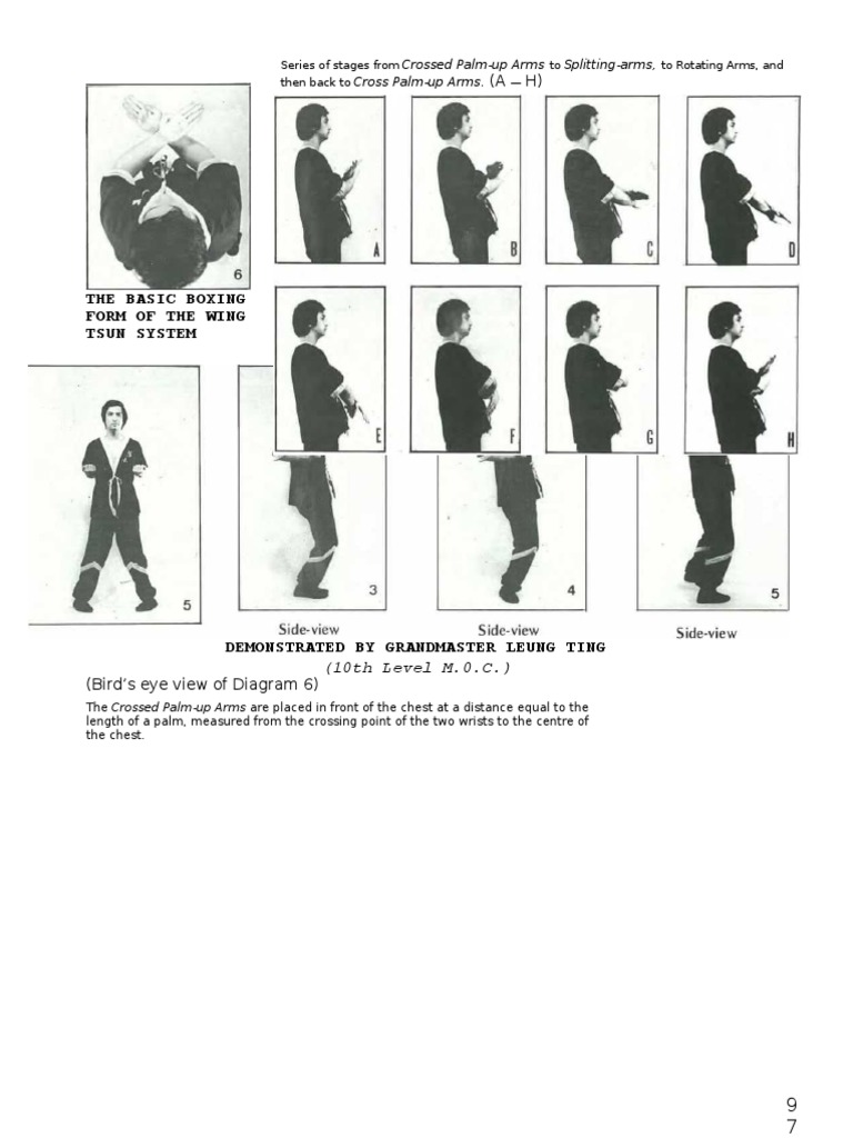 The Basic Boxing Form of The Wing Tsun System: (10th Level M.0.C.) | PDF