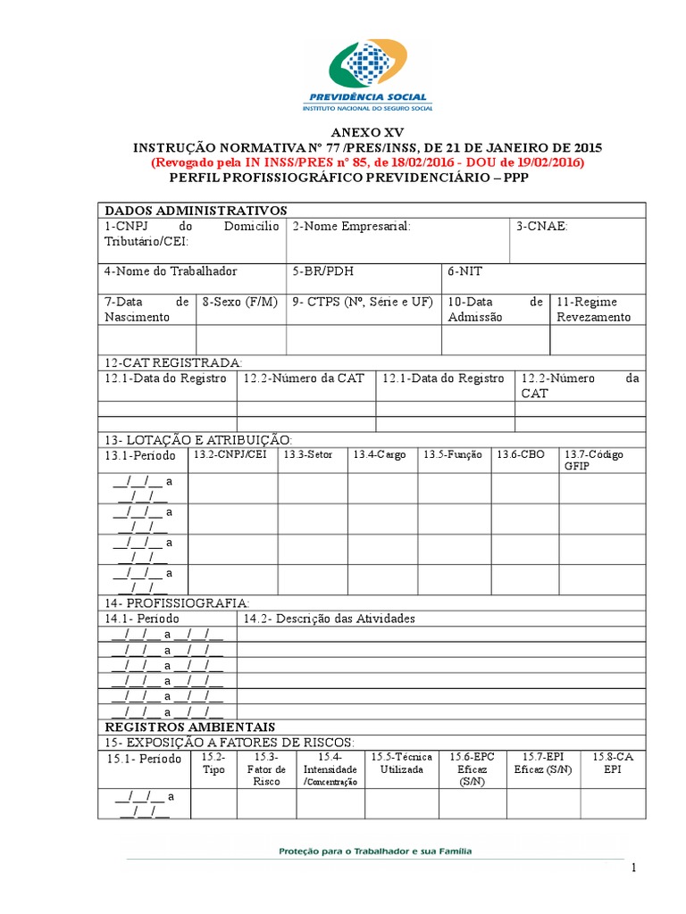 PPP - Modelo | PDF | Science | Ciência (Geral)