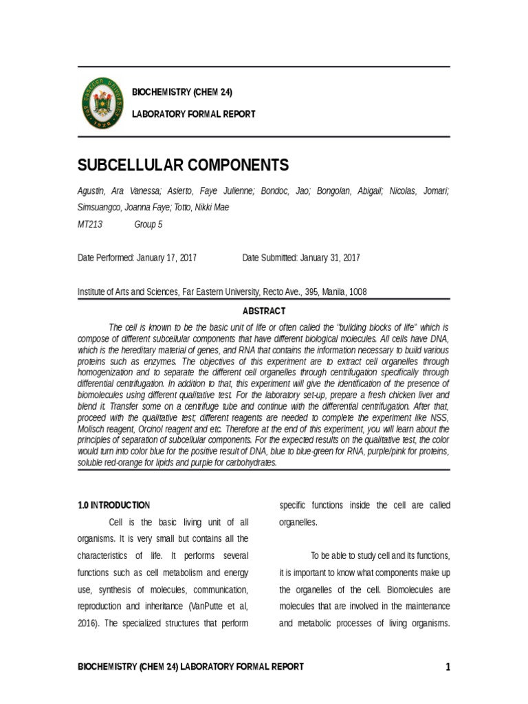 Formal Report - Subcellular Components | PDF