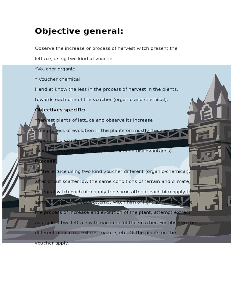 Objective General:: Objectives Specific | PDF