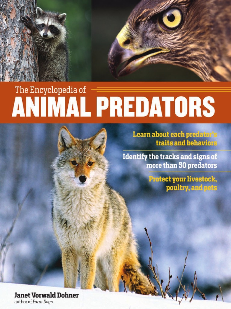 Sneak Peek: The Encyclopedia of Animal Predators | PDF | Cougar | Bald ...
