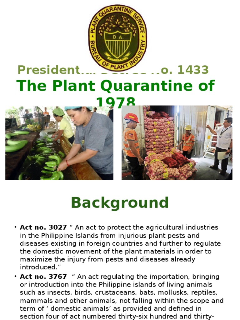Plant Quarantine Act of 1978 Overview | PDF | Quarantine | Introduced ...
