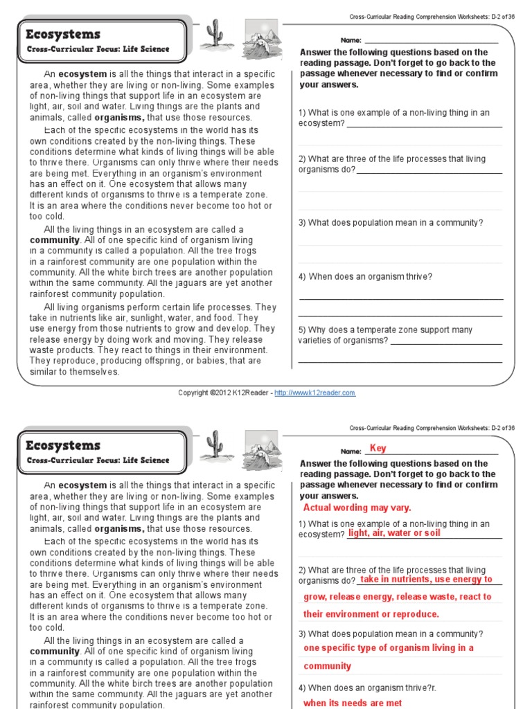 Ecosystems Passage 1 | PDF | Ecosystem | Life