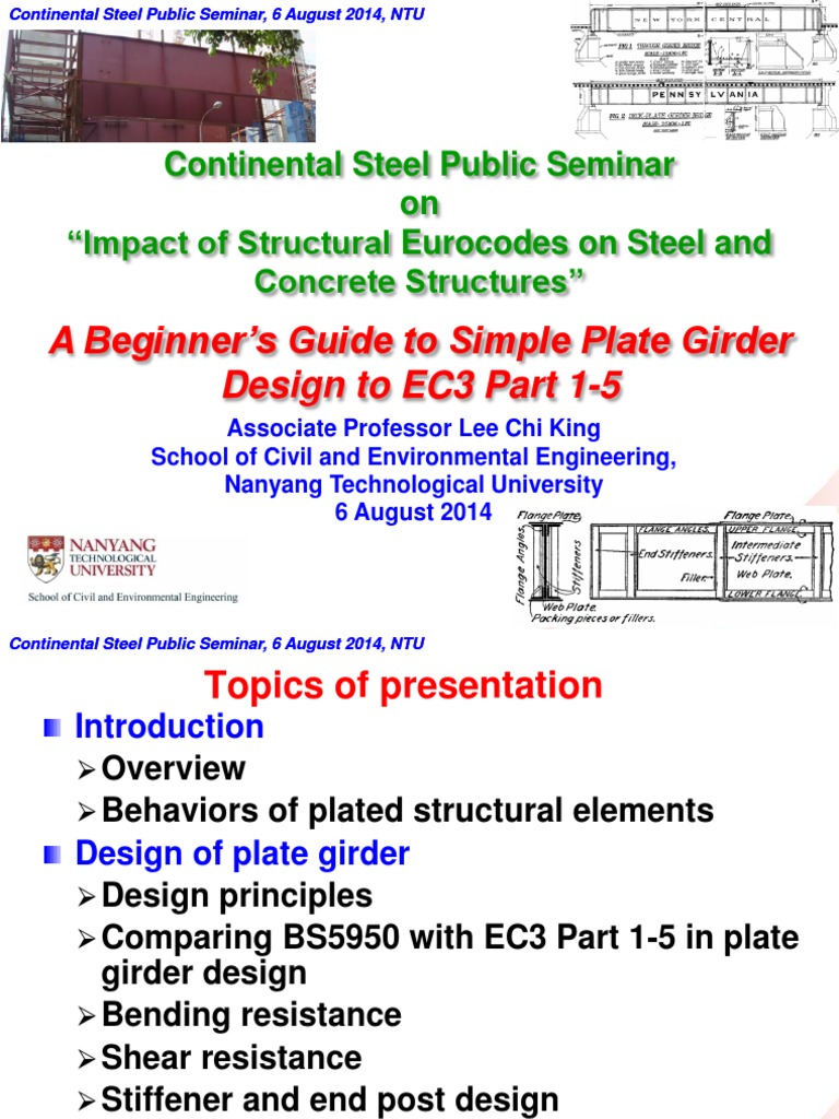 Eurocodes Impact on Steel Structures | PDF | Buckling | Structural Steel