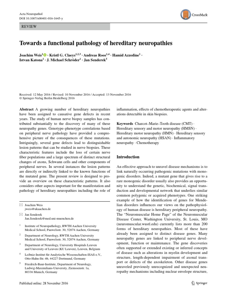 10.1007@s00401-016-1645-y.pdf | Myelin | Axon