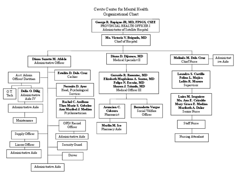 Organizational Chart | Health Care | Public Health