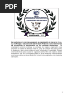 Propiedades y Nomenclatura de Tioles | PDF | Tiol | Ácido