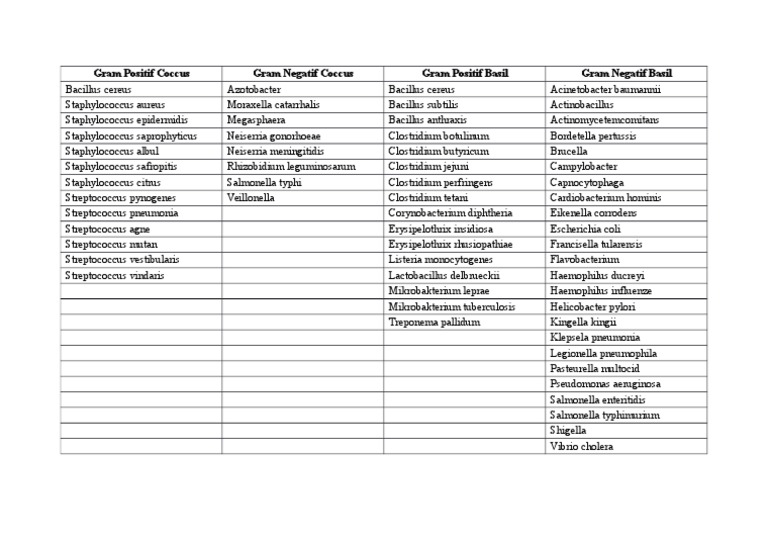 Gram Positif Dan Negatif Coccus Dan Basil | PDF | Basilus | Bakteri ...