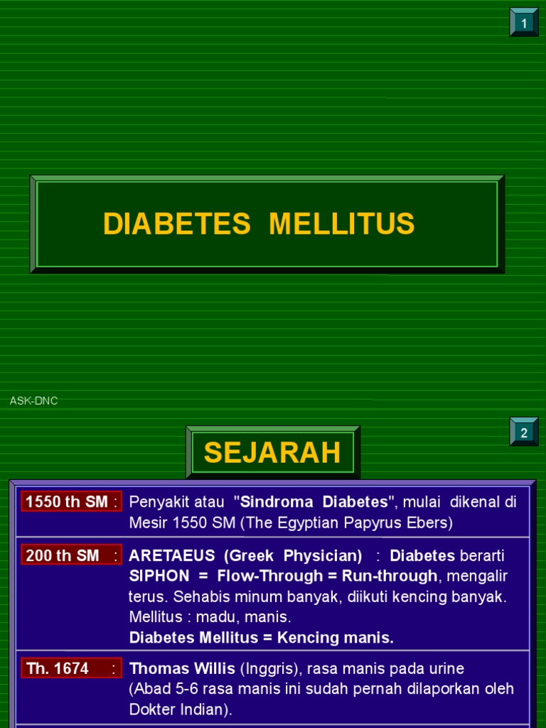 Diabetes Mellitus PERKENI | PDF