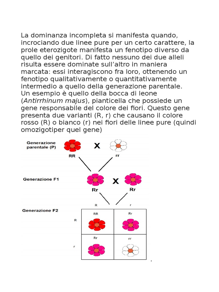 Dominanza Incompleta