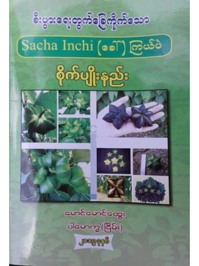 How To Grow Sacha Inchi Plant | PDF