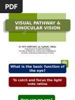 Photopic, Mesopic, and Scotopic Vision | PDF | Contrast (Vision ...