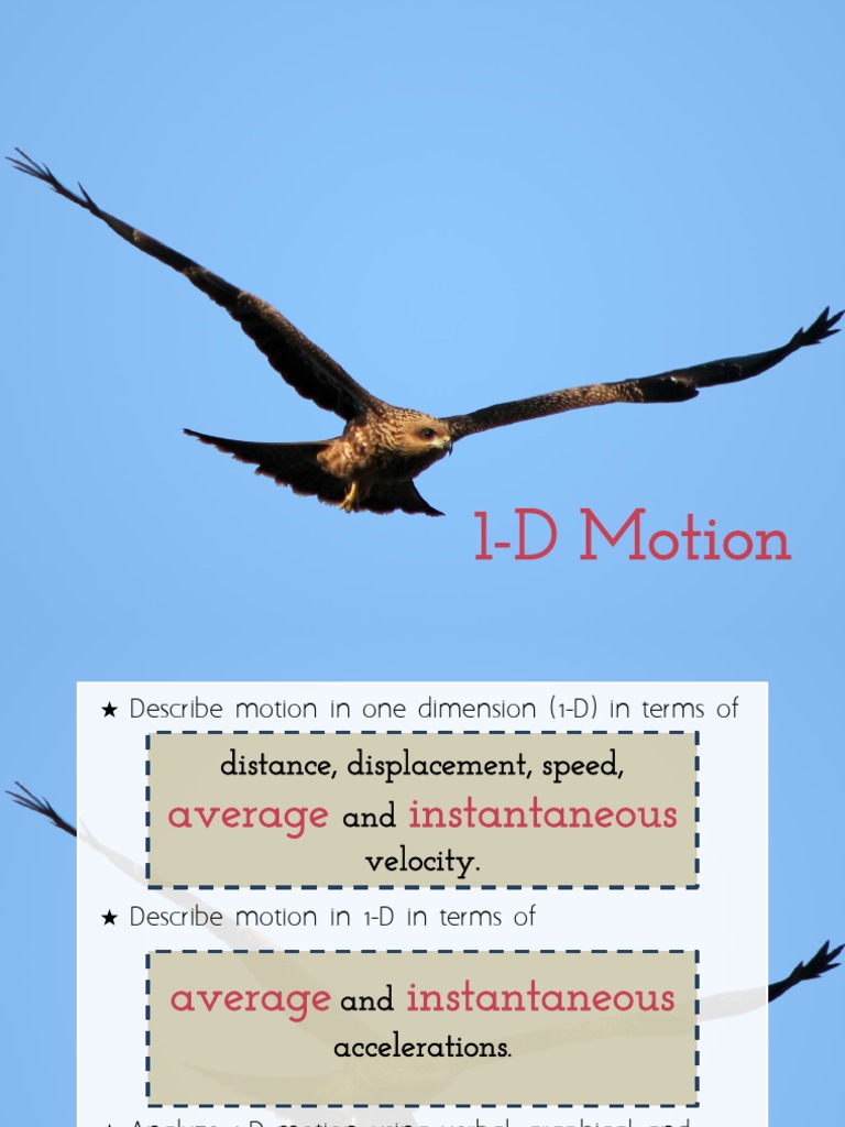 Lecture 03 - 1d Motion | PDF