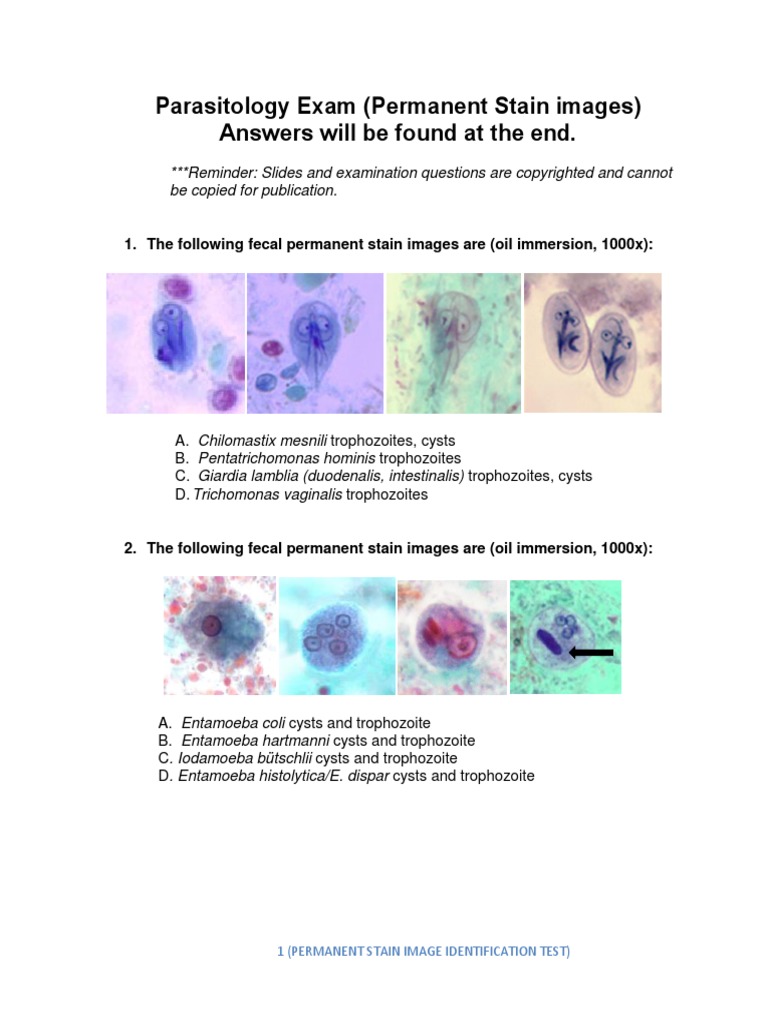 Review Parasitology Exam (Permanent Stain Images) | PDF | Organisms ...