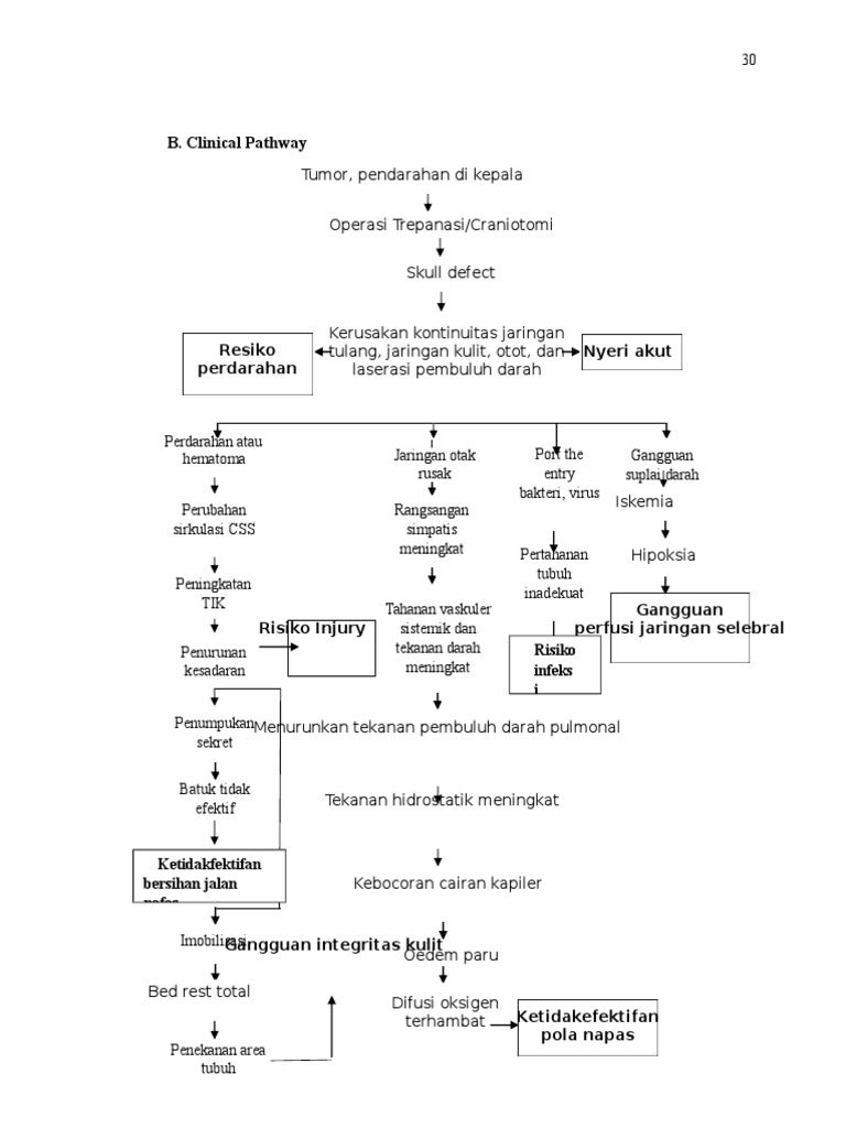 Pathway Skull Defect | PDF