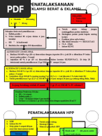 Penatalaksanaan Pada Peb Dan Ekalmsi | PDF
